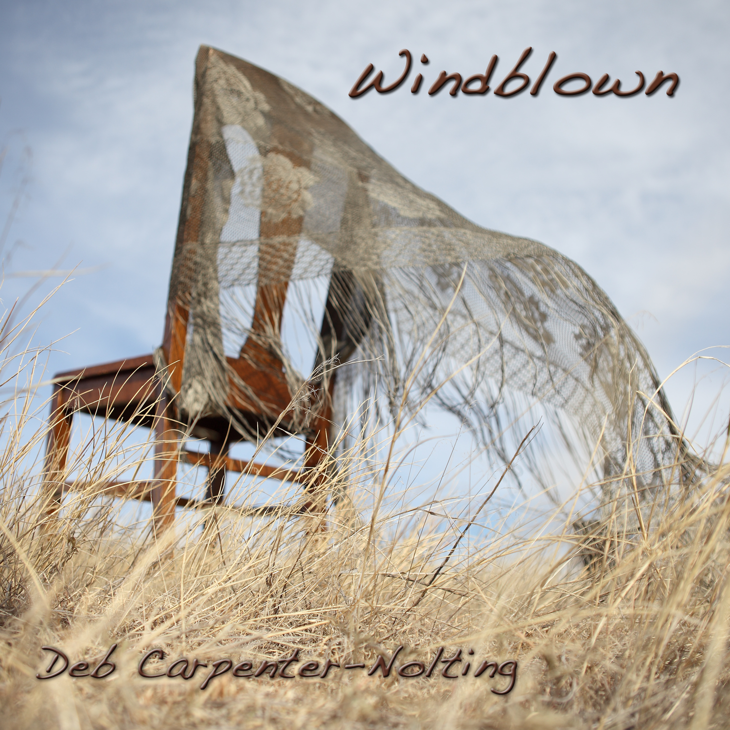 Windblown - Deb Carpenter-Nolting